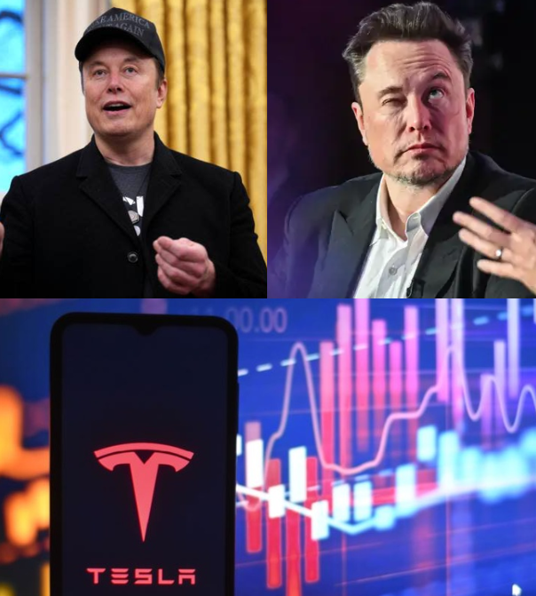 Tesla Loses $800,000,000,000 in Just Four Months, Prompting Furious ...