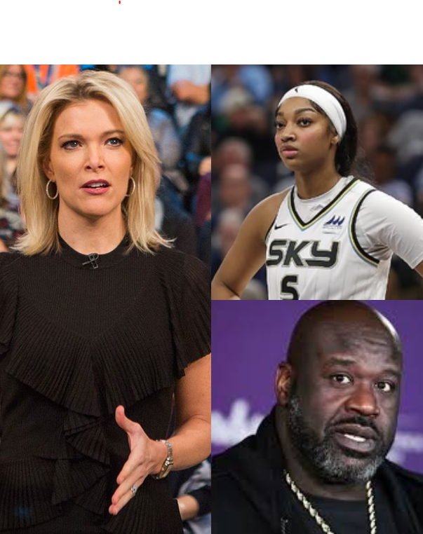 Megyn Kelly SHREDS Angel Reese Over “Bogus” Caitlin Clark Probe—She ...