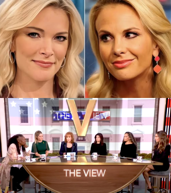 CBS Picks Elisabeth Hasselbeck and Megyn Kelly for New Daytime Show to Eliminate ‘The View’